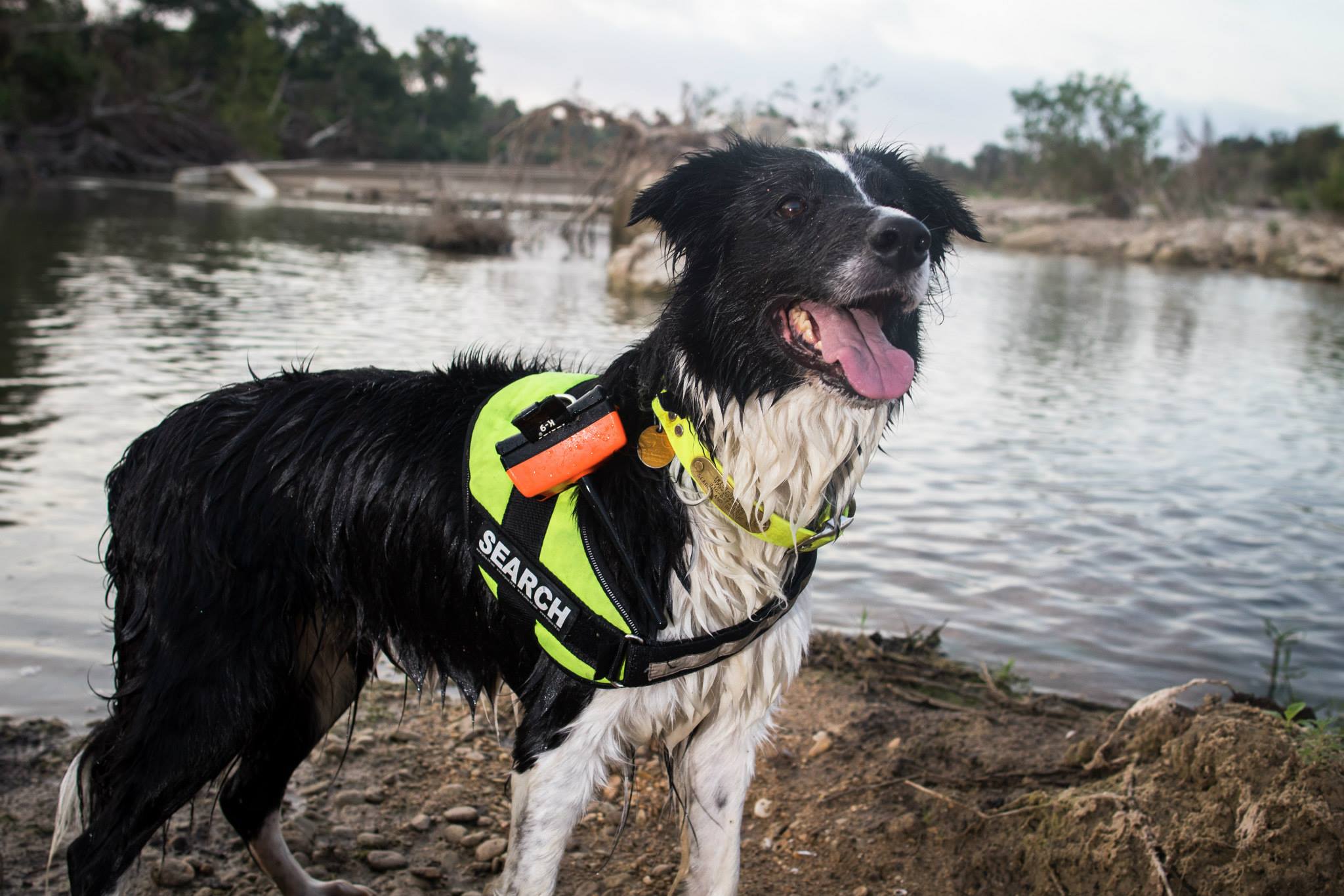 TEXSAR: Texas Search and Rescue