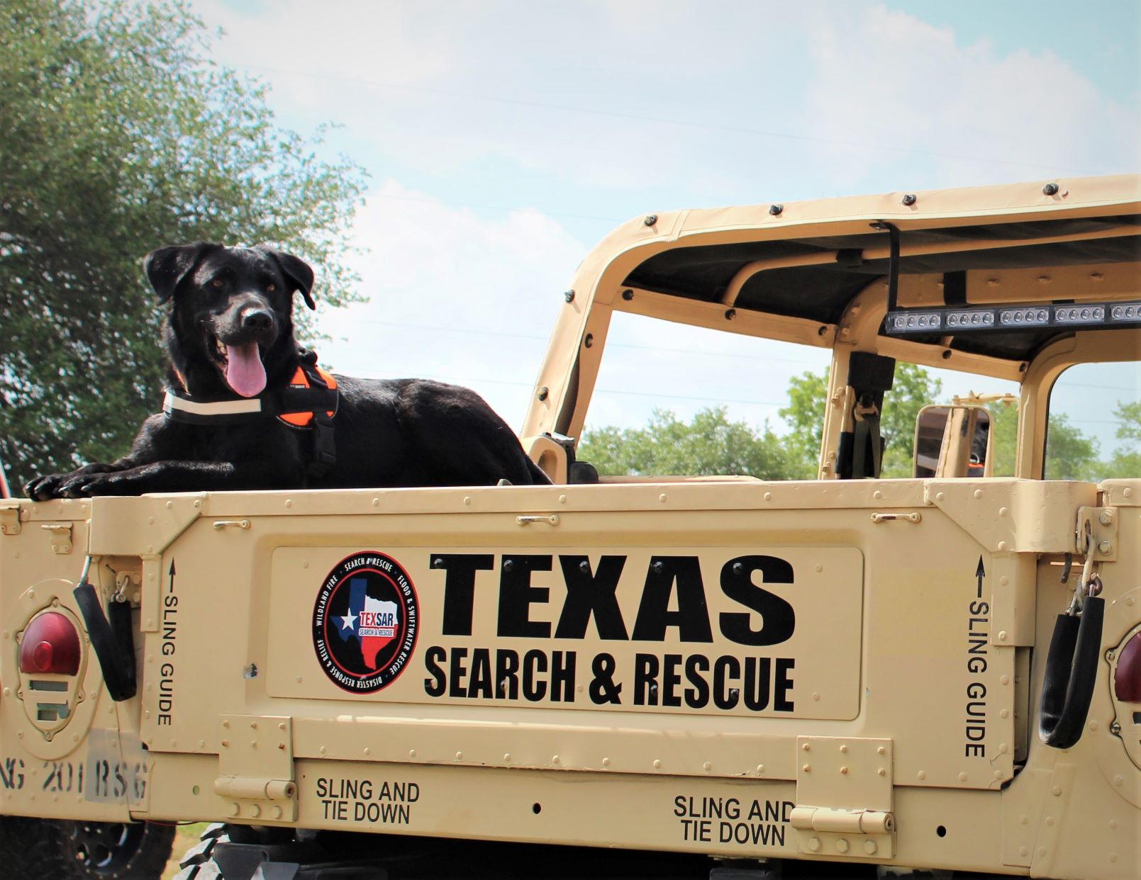 Meet Harvey - Texas Search and Rescue
