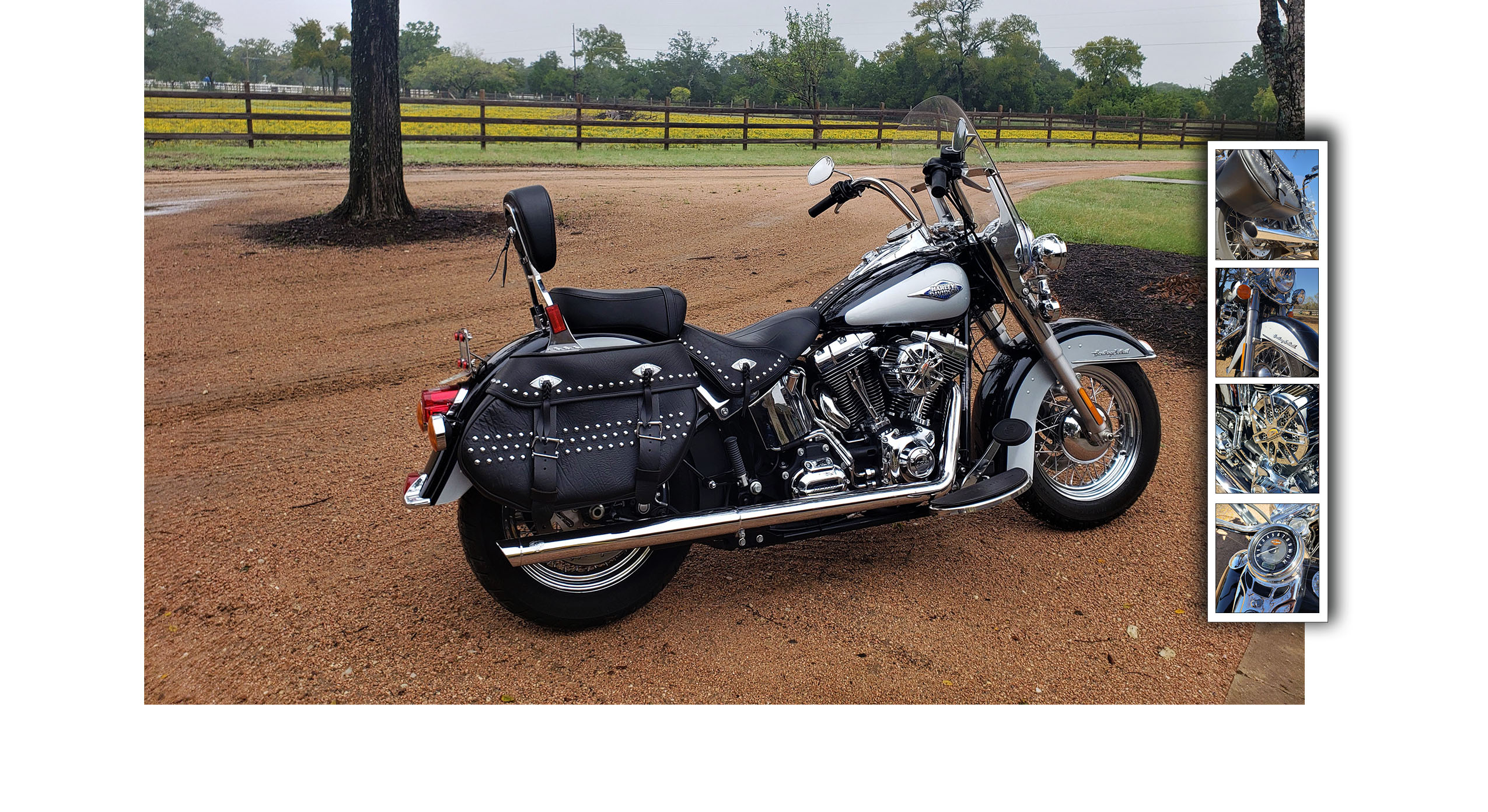 TEXSAR: Texas Search and Rescue